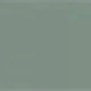 SWAROVSKI Acetate Sk6016 Sunglasses - Green
