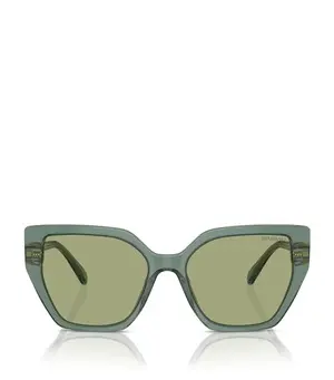 SWAROVSKI Acetate Sk6016 Sunglasses - Green