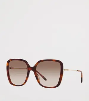 Chloé Acetate Sunglasses - Brown