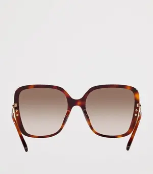 Chloé Acetate Sunglasses - Brown
