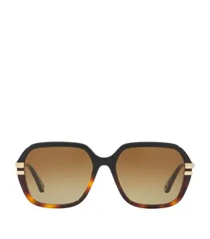 Chloé Acetate Sunglasses - Black