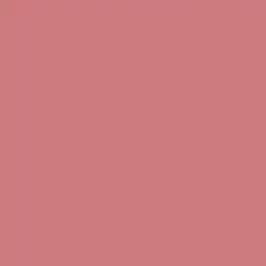 Dior Rouge Contour Lip Liner - Pink