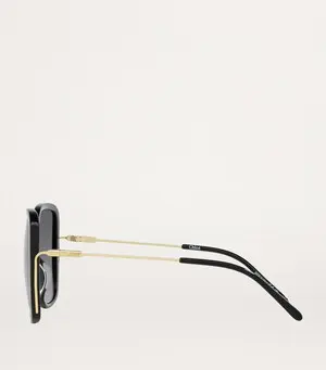 Chloé Acetate Sunglasses
