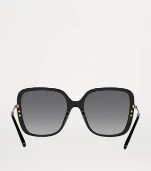 Chloé Acetate Sunglasses
