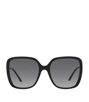 Chloé Acetate Sunglasses