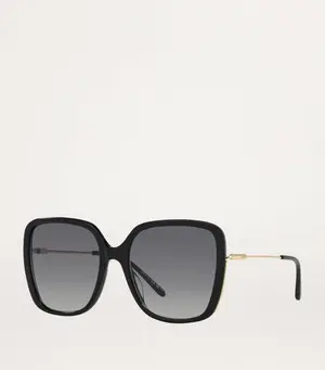 Chloé Acetate Sunglasses