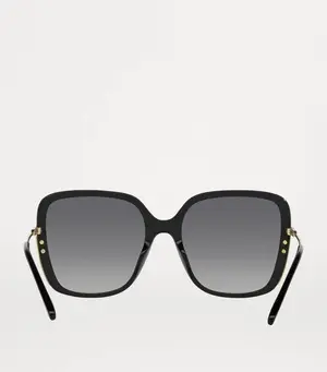 Chloé Acetate Sunglasses