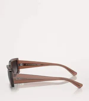 Ray-ban Acetate Sunglasses - Brown