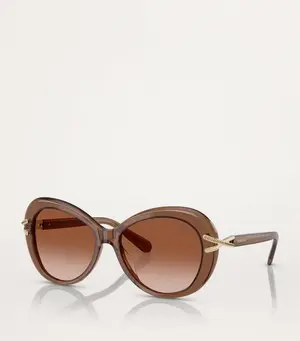 SWAROVSKI Acetate Sk6026 Sunglasses - Brown