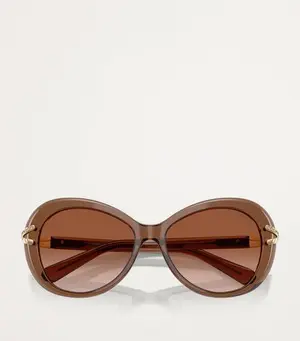 SWAROVSKI Acetate Sk6026 Sunglasses - Brown