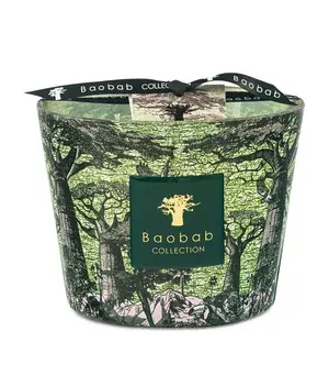 Baobab Collection Home Accents