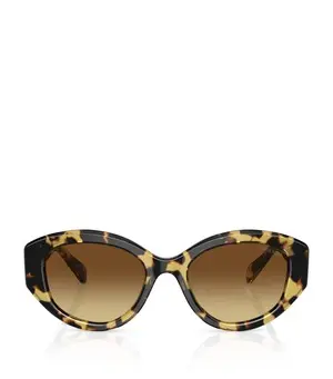 SWAROVSKI Oval Sk6005 Sunglasses - Brown