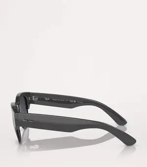 Ray-ban Propionate Sunglasses - Black
