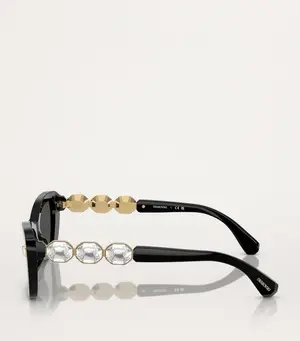 SWAROVSKI Acetate Sk6033 Sunglasses - Black