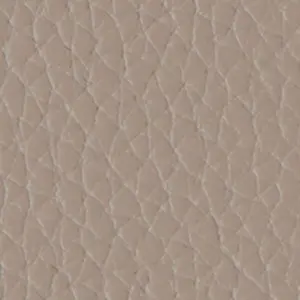 Mulberry Leather Continental Card Holder - Neutral
