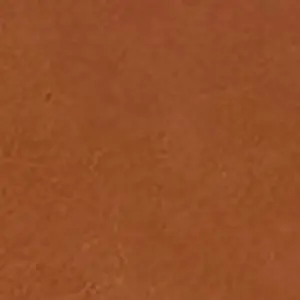 Ralph Lauren Leather Garrett Frame