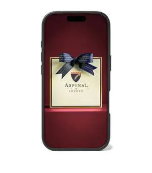 ASPINAL OF LONDON Grained Leather Iphone 17 Pro Case