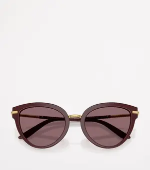 Dolce & Gabbana Butterfly Acetate Sunglasses