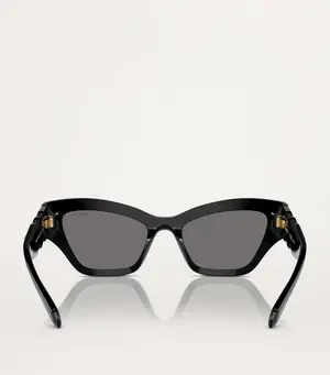 SWAROVSKI Acetate Sk6021 Sunglasses