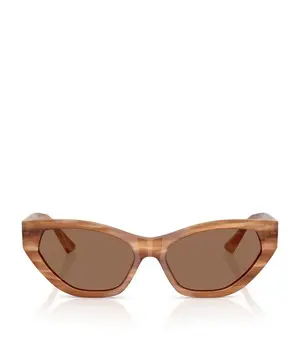 JIMMY CHOO Acetate Jc5022b Sunglasses - Brown