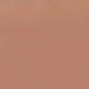 JIMMY CHOO Acetate Jc5022b Sunglasses - Brown