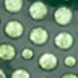 SWAROVSKI Oval Sk6006 Sunglasses - Green