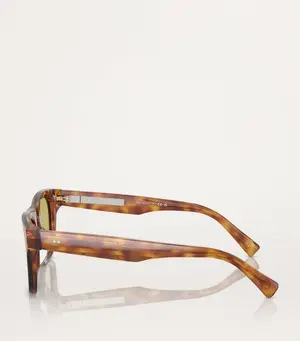 Brunello Cucinelli Acetate Bc4002s Sunglasses