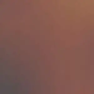 Versace Sunglasses - Brown