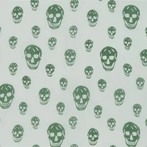 Alexander McQueen Silk Skull Scarf