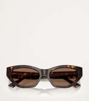 JIMMY CHOO Acetate Jc5022b Sunglasses - Brown