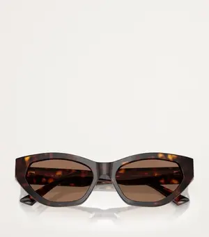 JIMMY CHOO Acetate Jc5022b Sunglasses - Brown