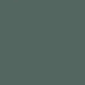 Burberry Sunglasses - Green