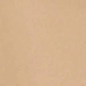 Balenciaga Acetate Rectangular Sunglasses - Brown