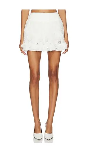 Aknvas Mini Skirts