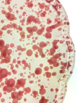 CABANA Speckled Ceramic Dinner Plate