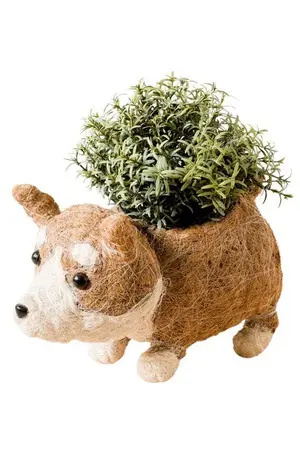 LIKHA Corgi Handwoven Planter - Brown/white
