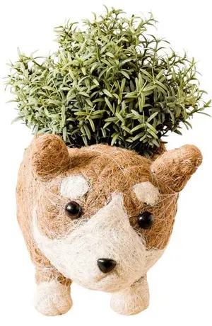 LIKHA Corgi Handwoven Planter