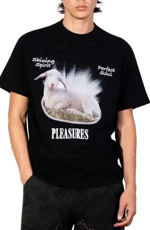 PLEASURES Shine Graphic T-shirt