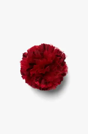 HELENA SIMON The Carnation Floral Brooch - Red