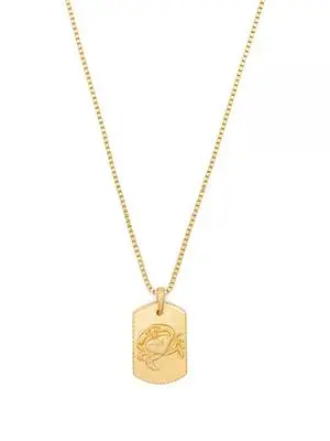 Maje Zodiac Sign Plaque Necklace