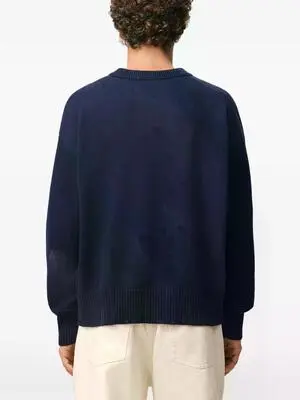 Ami De Coeur Crew Neck Sweater - Blue
