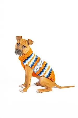 CHILLY DOG Campfire Fair Isle Wool Dog Sweater