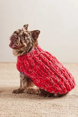 FRENCH KNOT Chunky Knit Dog Sweater