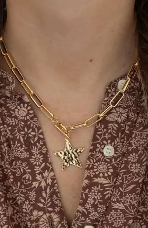 ERIN MCDERMOTT JEWELRY Hammered Star Pendant Necklace