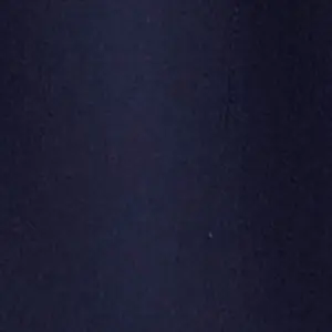 Ralph Lauren Wool Minetta Shorts - Navy