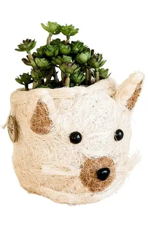 LIKHA Mini Cat Succulent Planter - White/brown