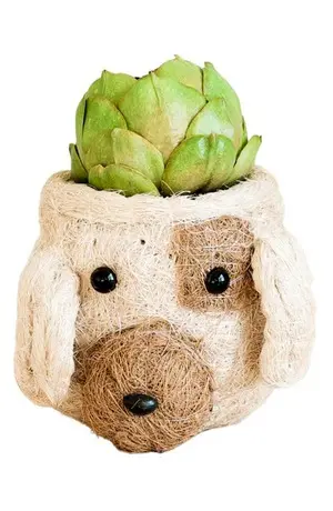 LIKHA Mini Dog Succulent Planter