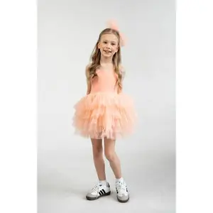 MINI CELEBRITIES Sleeveless Tutu Dress - Salmon Sunset