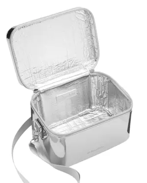 WELLINSULATED Beauty Case With Detachable Strap - Silver