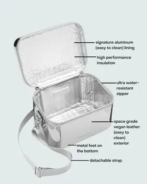 WELLINSULATED Beauty Case With Detachable Strap - Silver